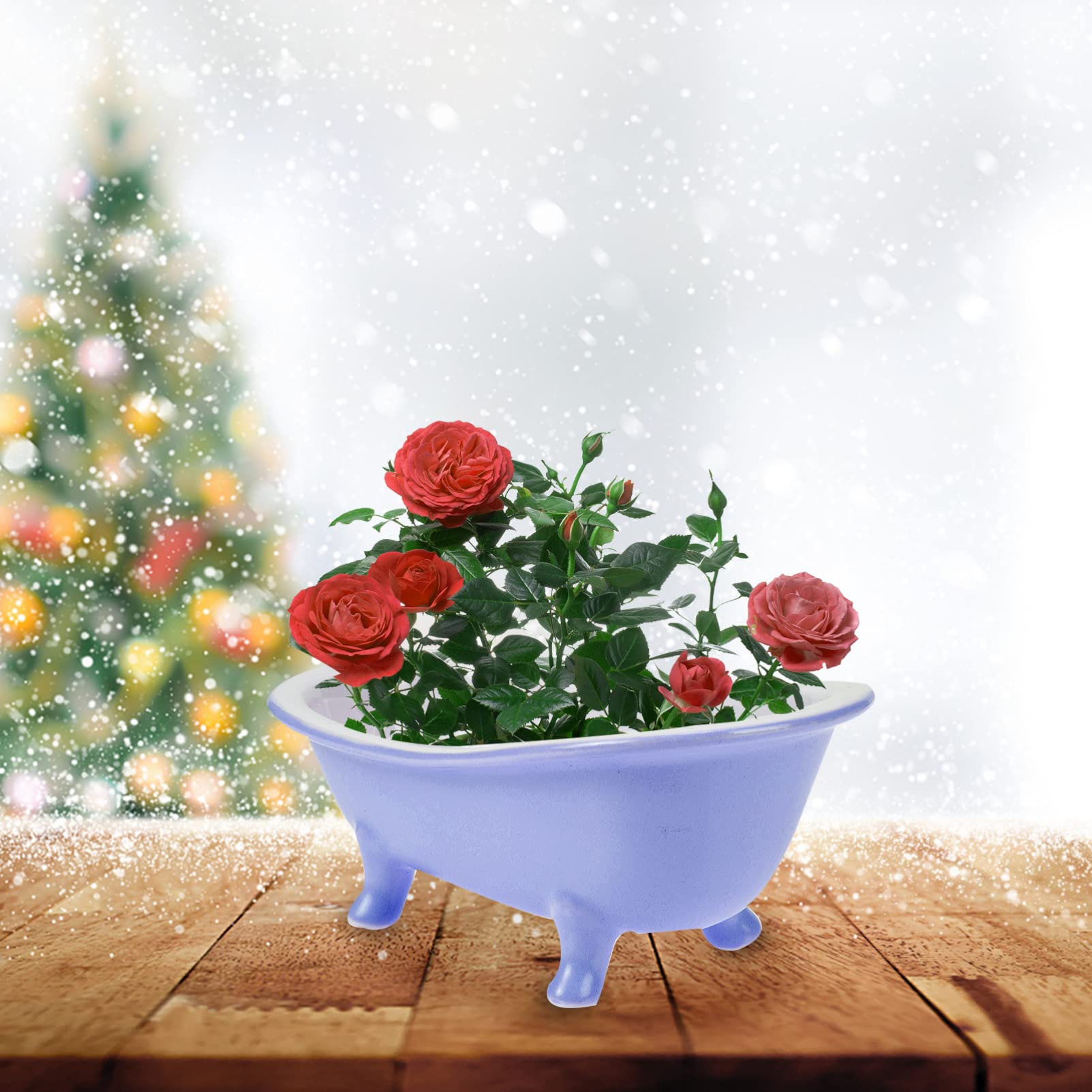YARDWE Modern Plant Pots Indoor Desktop Flower Pot Small Bathtub Flower Pot Ceramic Succulent Planter Pot Flower Pots Planting Container Desktop Ornament (Sky- Blue) Bonsai Pot Mini Bathtub Decor