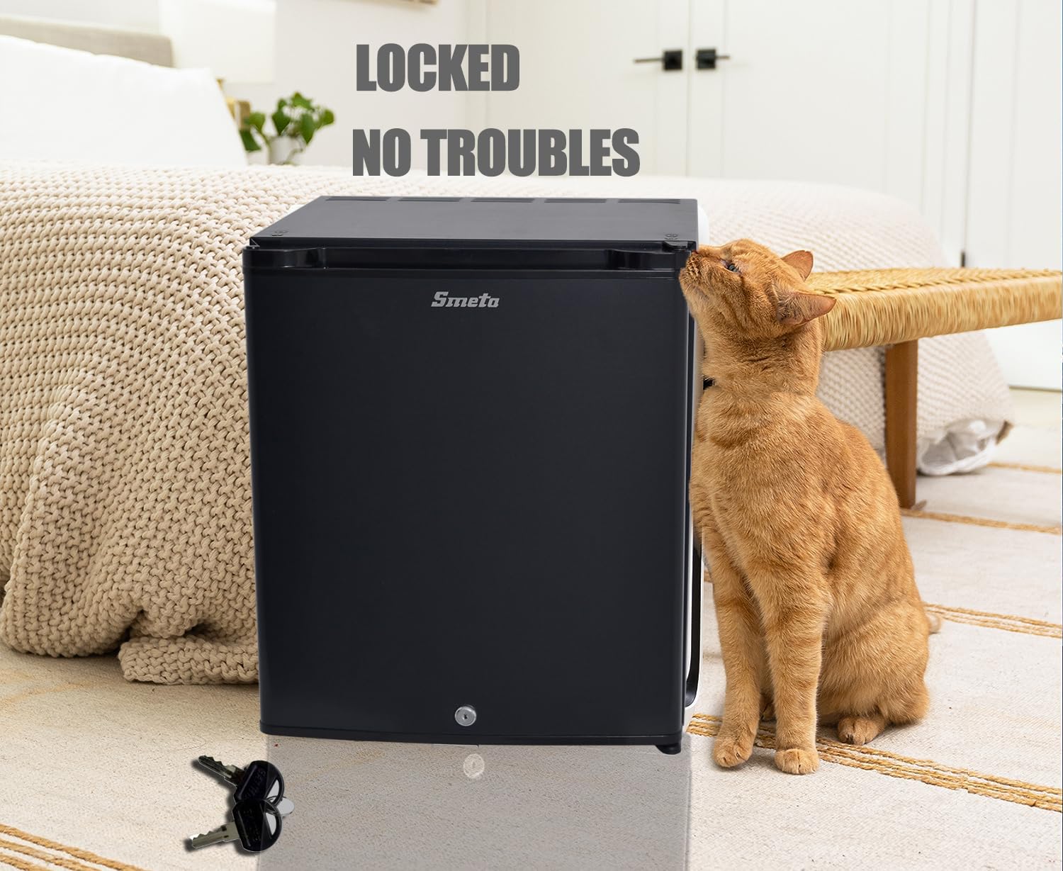 SMETA Mini Fridge with Lock for Bedroom Quiet Lockable No Noise Absorption Mini Refrigerator 12V/110V Compact Portable DC Locking Refrigerator for Office Van Medication Storage Dorm, 1.0 Cu.Ft, Black