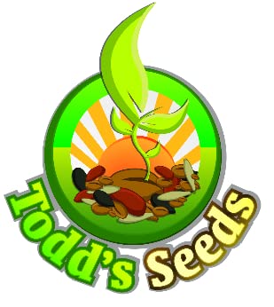 Todd's Seeds Broccoli and Friends Sprouting Seed Mix: Broccoli, Crimson Clover, Red Radish, Alfalfa, Non-GMO, Chemical Free, High Germination (1/4 Pound)