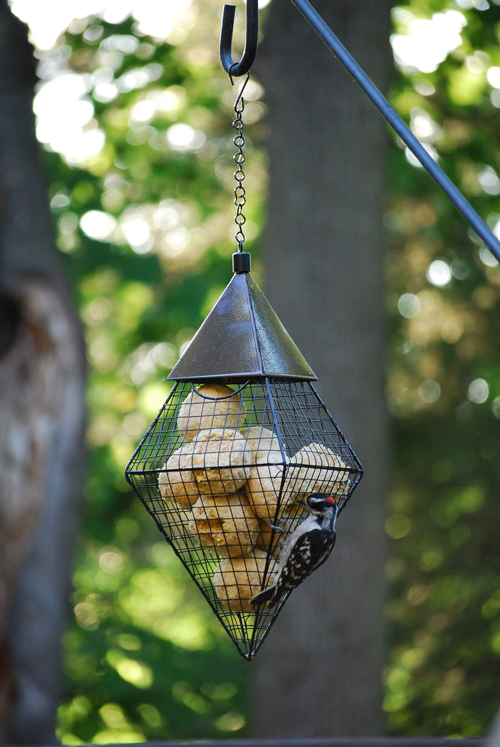 Wildlife Sciences Suet Balls 24 Pack, 6 Individually Wrapped Packs of 4 Bird Suet Balls (Peanut Blend)