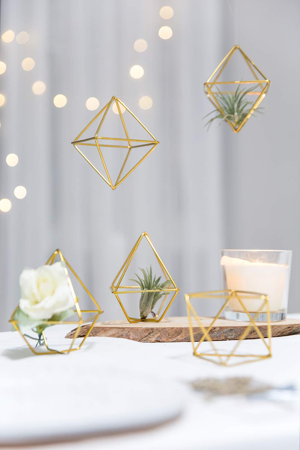 Mkono 5 Pack Air Plant Holder Metal Himmeli Decor in 2 Shapes, Gold
