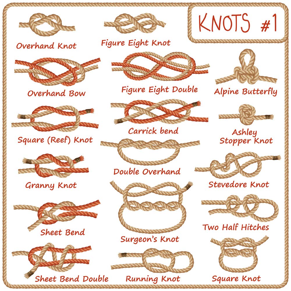 SpitJack Butcher's Cooking and Kitchen Twine. All Cotton White String for Meat Trussing, Garden and Crafts.16 Strand String for Butcher, Baker, and Cheese Making. 185 Feet. SS Kitchen Scissors.