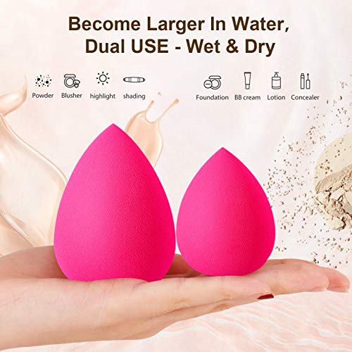 Makeup Sponges, Larbois 10-Pack Blender Beauty Foundation Blending Sponge, Professional Beauty Makeup Set for Dry & Wet Use (Multicolored)