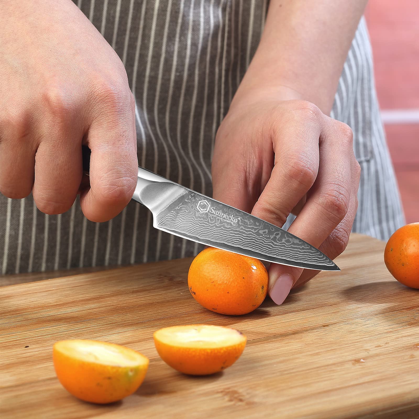 Sunnecko Paring Knife 3.5 Inch, Fruit Knife with 67-layers Damascus Steel VG-10 Blade Small Knife, Peeling Knife with Inlaid Handle Small Kitchen Knife Perfect for Cutting Fruit Vegetables Petty Knife