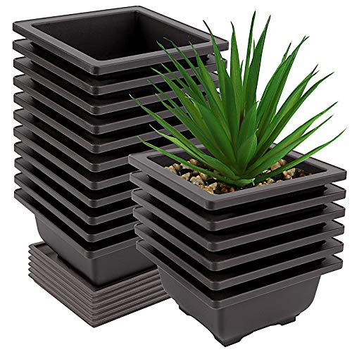 ZOENHOU 20 PCS 4.7 Inch Bonsai Training Pots, Square Plastic Bonsai Training Pots with Deep Humidity Trays, Bonsai Plants Growing Pot for Garden, Yard, Office, Living Room, Balcony