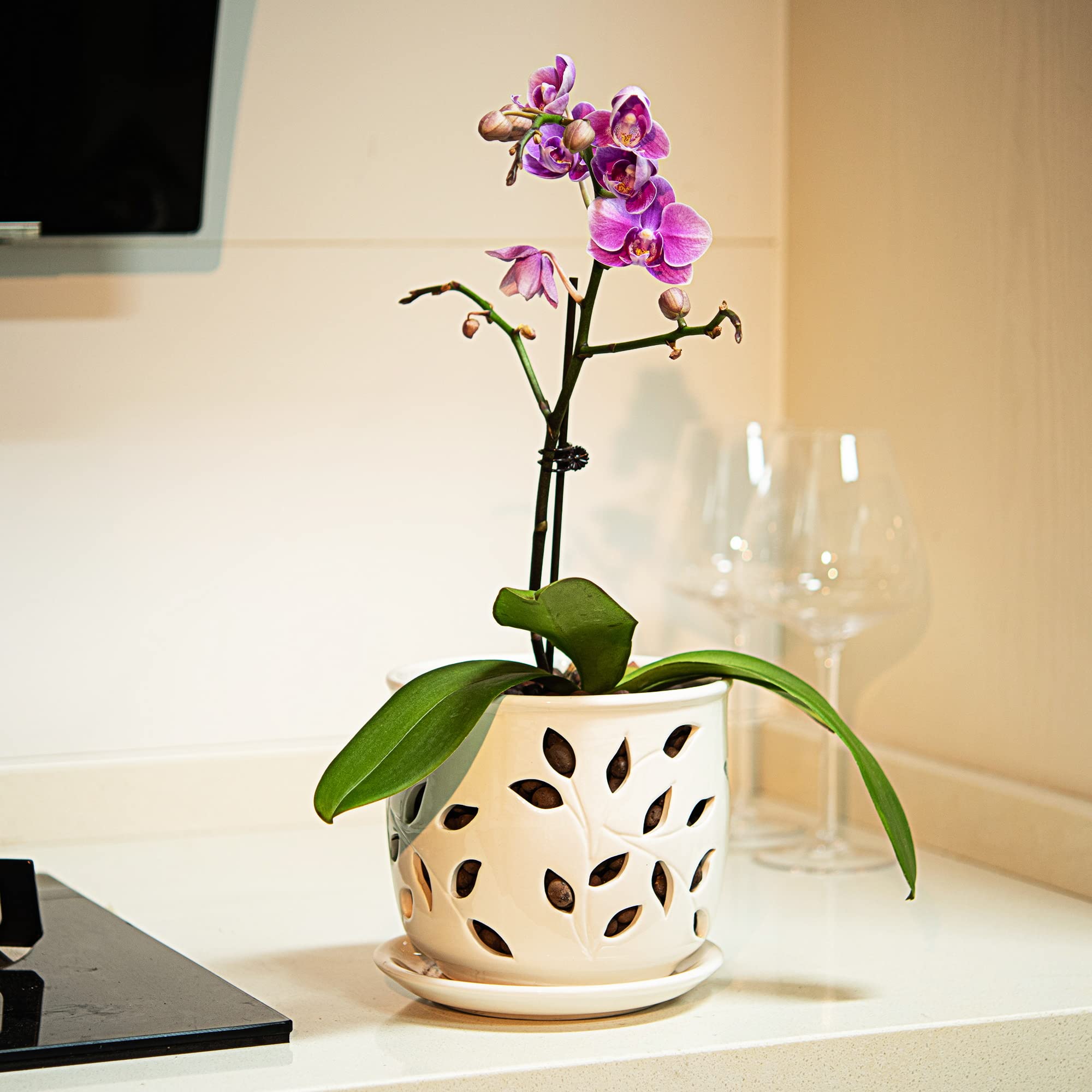 VEBAVO Large Ceramic Orchid Pot with Holes & Saucer 5.25 in. Indoor or Outdoor Pot for Orchid Care & Root Health with Precise Aeration & Drainage β Durable for Repotting or New Plants