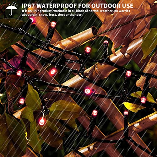 MAOKOT 2 Pack Solar Christmas Decorations Lights, 72ft 200 LED Solar Fairy Lights Outdoor Waterproof,Red Solar String Lights for Christmas Patio Tree Party Christmas Decorations