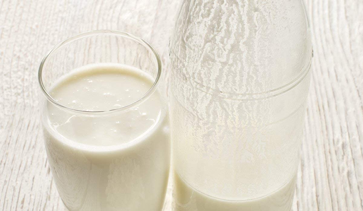 Milk Kefir POWDER Lebanese - Probiotic Milk Kefir Starter - No Maintenance - Leche de Bulgaro - Non GMO - Gluten Free - Started With A Dairy Or Water Base (4 Pack) (4 Pack (make 4L))