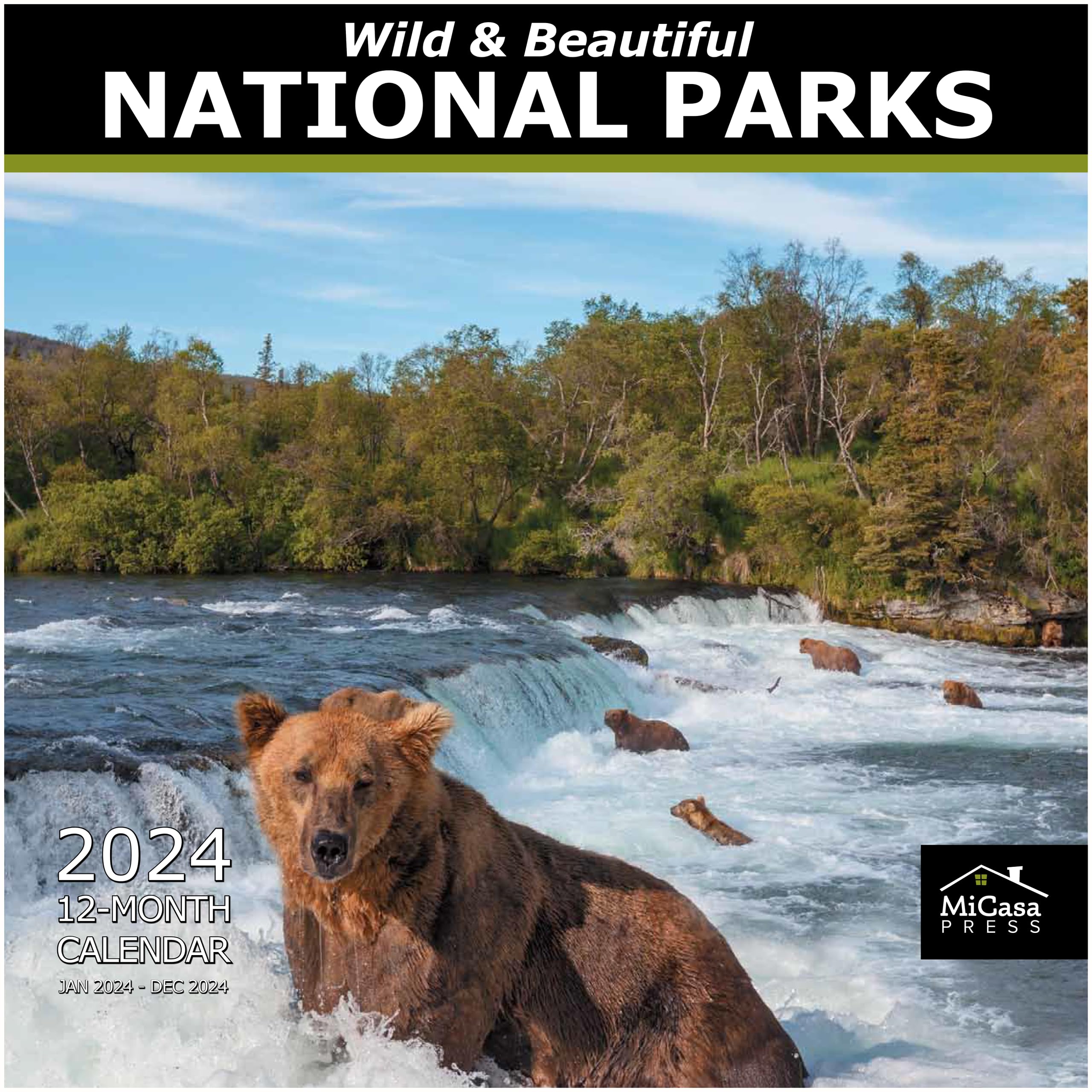 MICASA Wild & Beautiful National Parks 2024 Hangable Monthly Wall Calendar | 12" x 24" Open | Thick & Sturdy Paper | Giftable | Scenic Nature Travel | Explore Our Protected Lands
