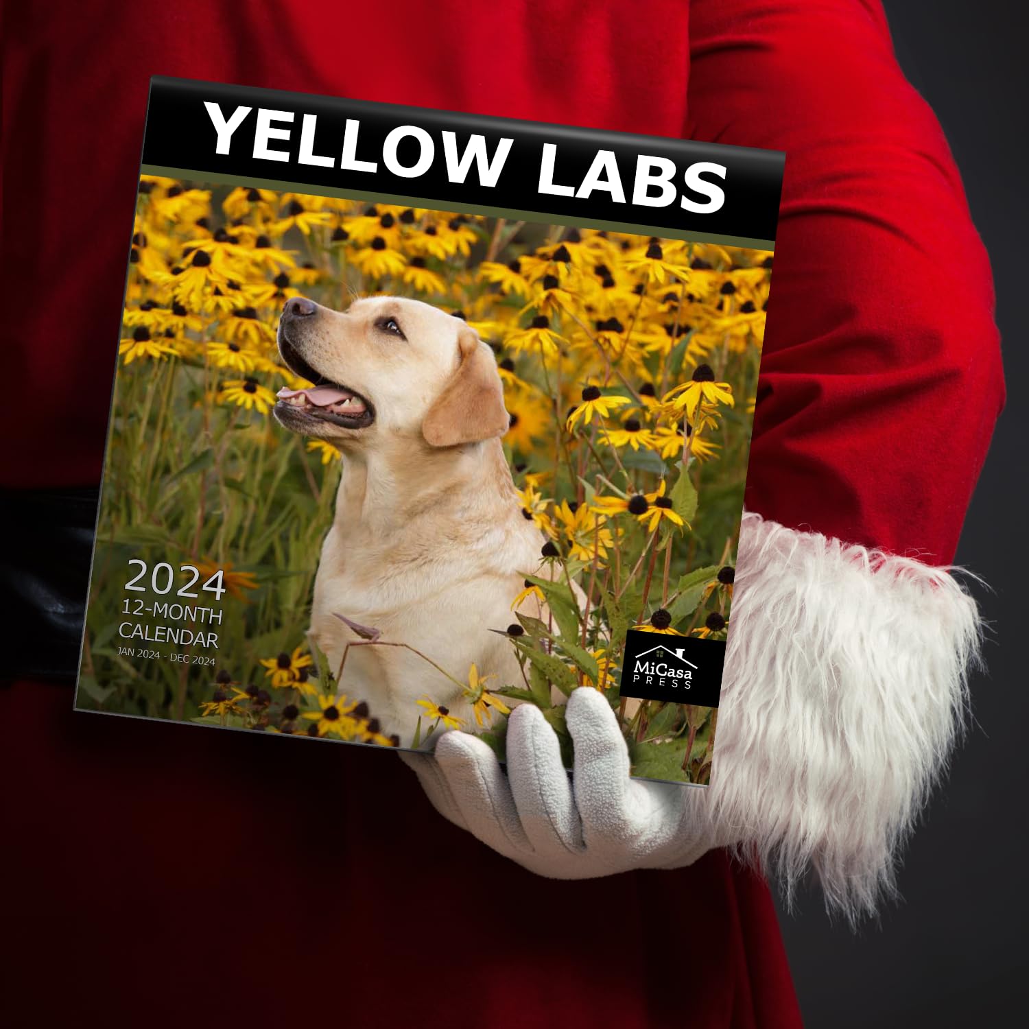 MICASA Yellow Labs 2024 Hangable Monthly Wall Calendar | 12" x 24" Open | Thick & Sturdy Paper | Giftable | Cute Dog | Golden Canine Perfection