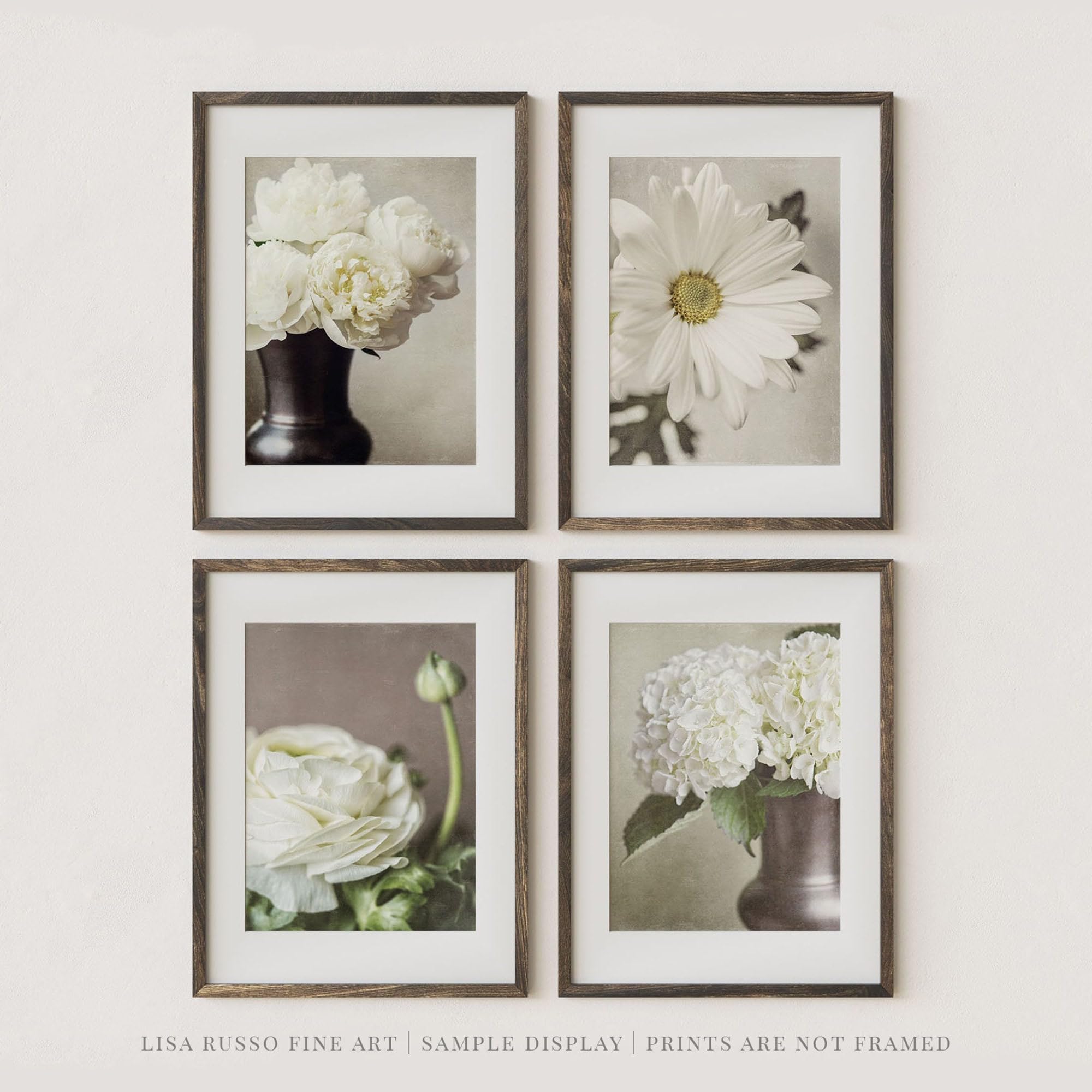 Lisa Russo Fine Art - Nature Wall Art - Botanical Flower Wall Decor Pictures - Shabby Chic Style - Set of 4 - Not Framed - Ivory, Tan, Beige (4 SMALL 5x7 Prints Only)