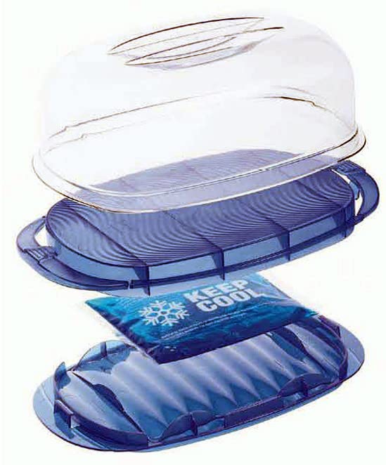 Snack Server Charcuterie Tray/Platter with Snap Shut Lid and Cooling Ice Pack. Serve Appetizers, Sushi, Shrimp Cocktail, Snacks, Cheese, Finger Foods and Cupcakes. Keeps Food Cool Fresh and Ready.