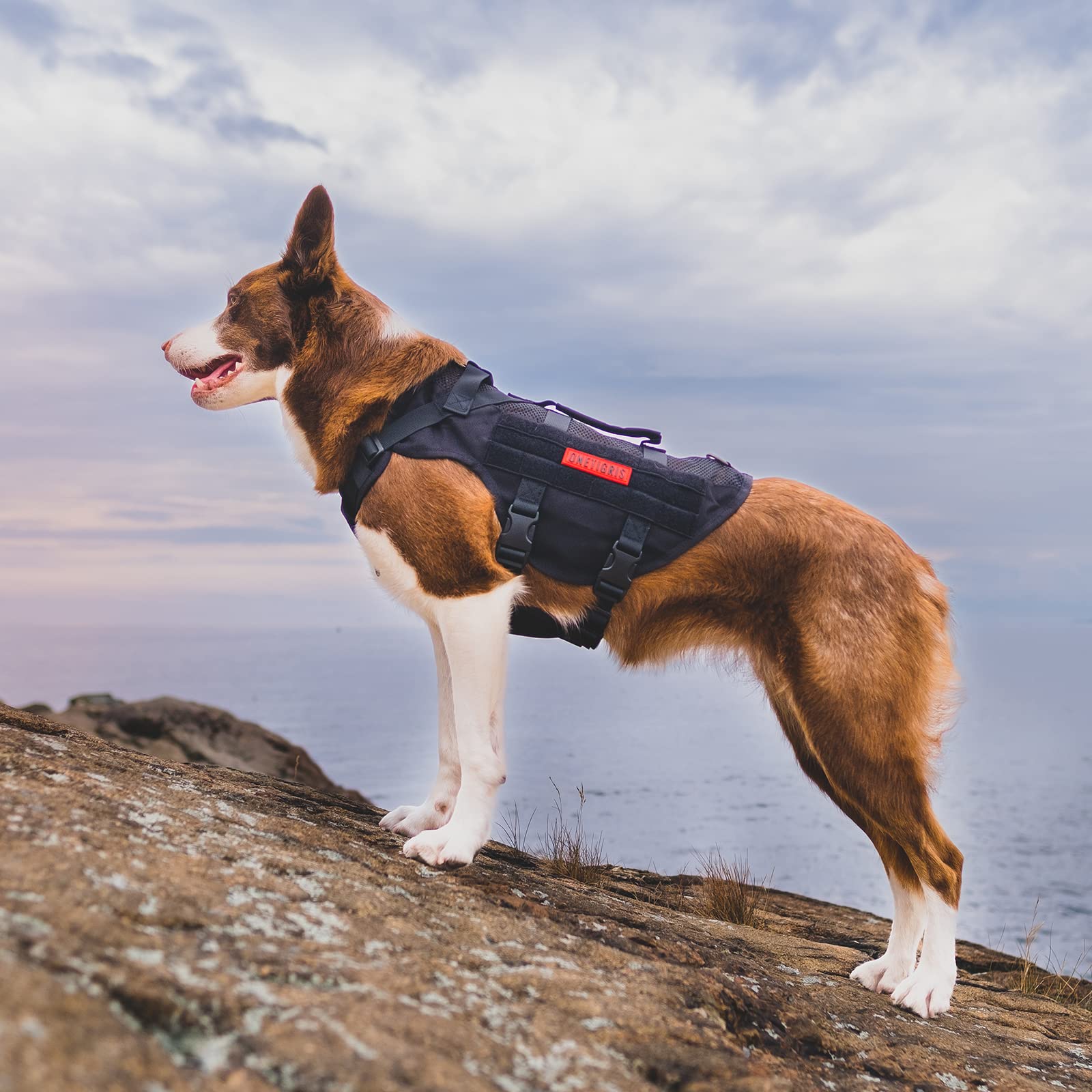 OneTigris No Pull Tactical Dog Harness for Medium Dog, Aire Mesh Dog Vest Harness, Breathable Military Dog Molle Vests with Handles, Service Dog Vest for Walking Hiking Training (M, Black)