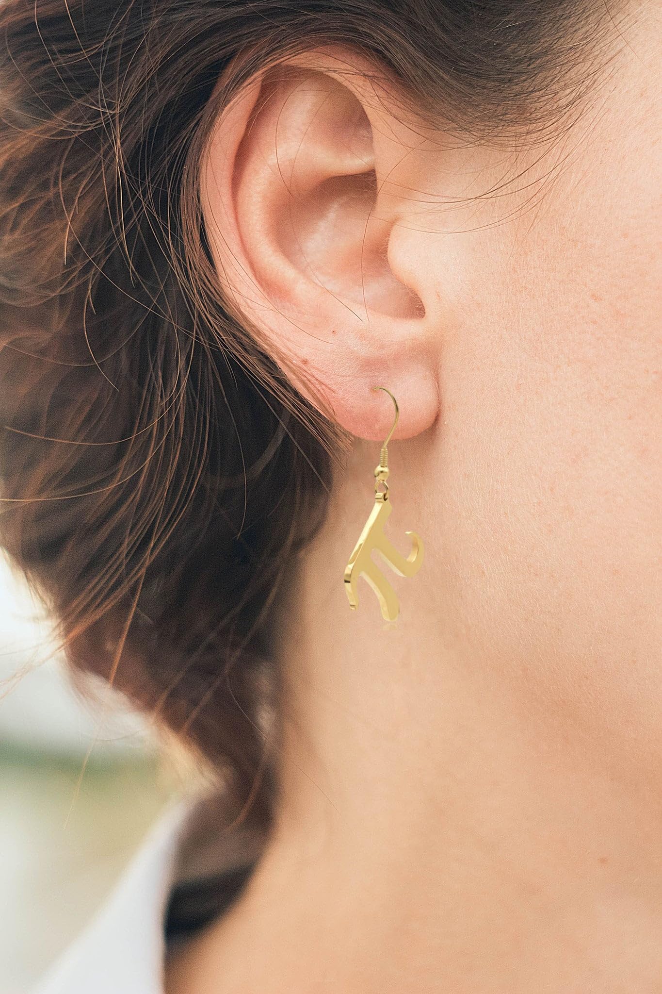 Pi Symbol Stainless Steel Dangle Earrings (Black)