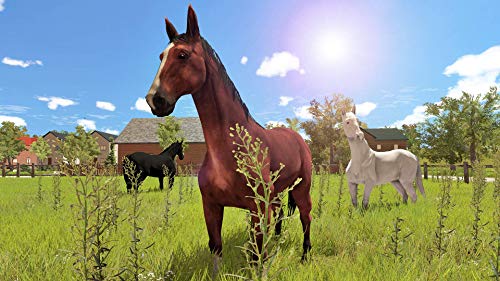 My Little Riding Champion (NSW) - Nintendo Switch