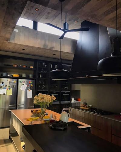Matthews PA3-TB-WA-60 Patricia Indoor/Outdoor Damp Rated 60" Ceiling Fan with LED Light and Remote & Wall Control, 3 Walnut Solid Wood Blades, Textured Bronze