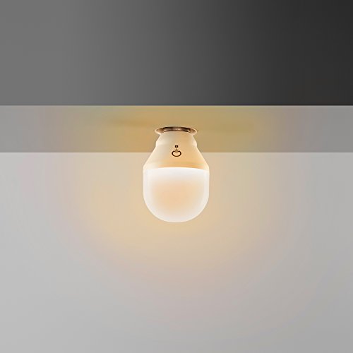 LIFX A19 Mini Day and Dusk White Wi-Fi Smart LED Light Bulb, Dimmable, No Hub Required, App and Voice Control, Works with Amazon Alexa, Apple HomeKit, Google Assistant and Microsoft Cortana - 4 Pack