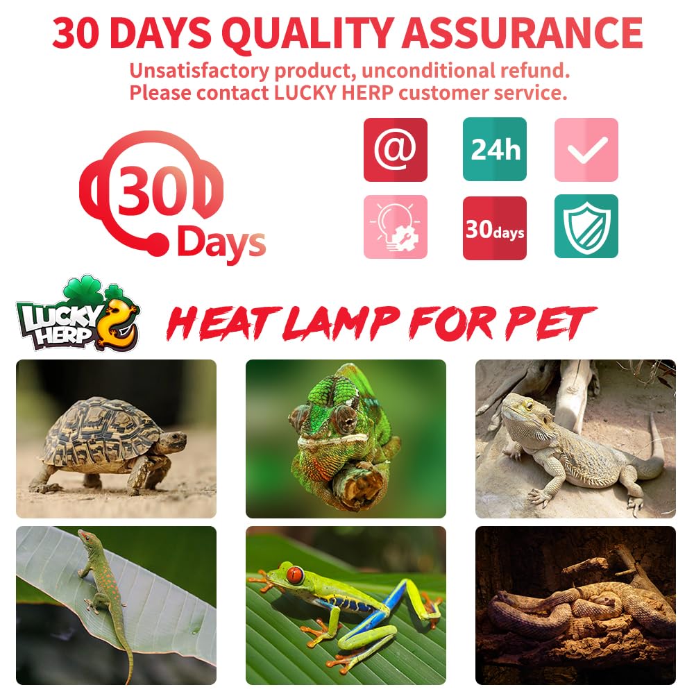 LUCKY HERP Infrared Heat Lamp 100W 2 Pack,Reptile & Amphibian Basking Spot Light Bulbs, Red Heat Lamp Bulbs for Reptiles, Bearded Dragon, Turtle, Lizard, Snake, Chicken
