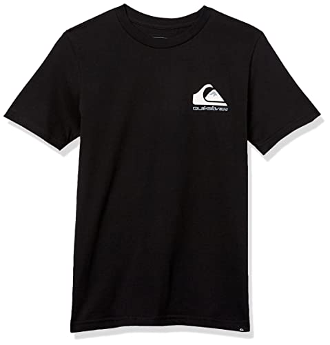 Quiksilver Boys' Drop in Tee Shirt, Black, M/12
