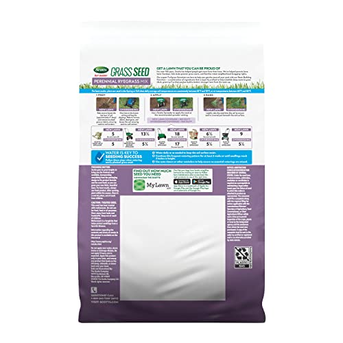 Scotts Turf Builder Grass Seed Perennial Ryegrass Mix with Fertilizer and Soil Improver, Establishes Quickly, 2.4 lbs.