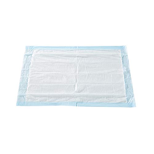 McKesson Classic Underpads, Incontinence Bed Pads, Light Absorbency, 17 in x 24 in, 300 Count