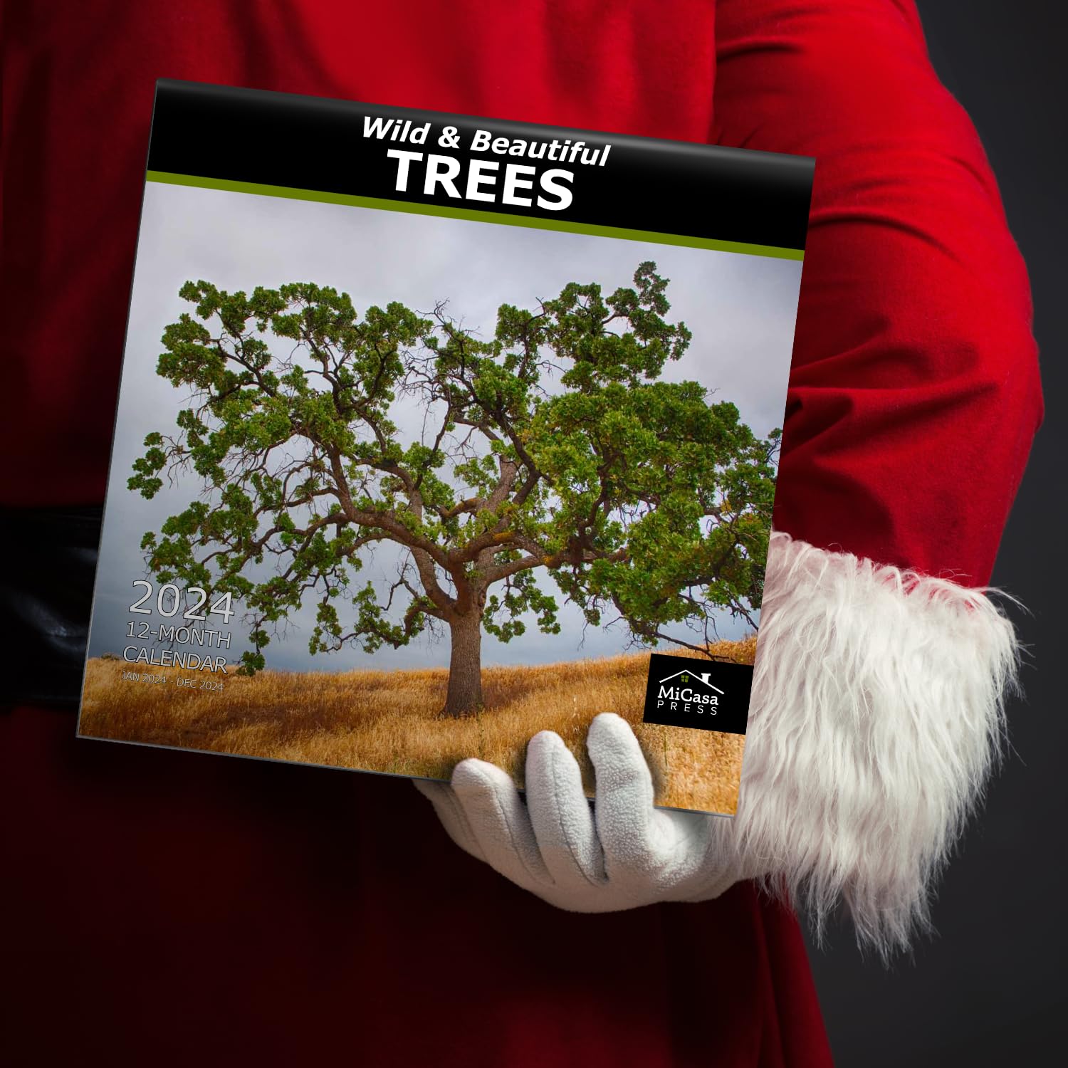 MICASA Wild & Beautiful Trees Hangable Monthly 2024 Wall Calendar | 12" x 24" Open | Thick & Sturdy Paper | Giftable | Scenic Nature Pathways | Beautiful Trees around the World