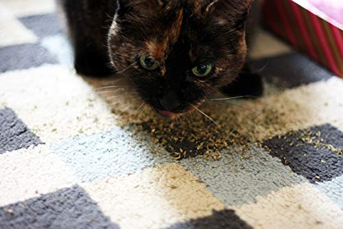 Meowijuana® Meowi-Waui - Primo Kitty Weed - Large Bottle