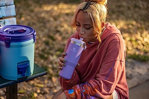 Stanley IceFlow Stainless Steel Tumbler - Vacuum Insulated Water Bottle for Home, Office or Car Reusable Cup with Straw Leak Resistant Flip Cold for 12 Hours or Iced for 2 Days, Lavender, 30OZ