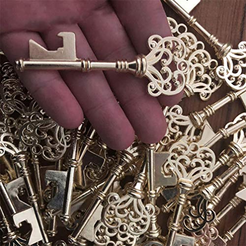 Toporchid Key Portable Bottle Opener Beer Bottle Can Opener Hangings Ring Keychain Tool(silver)