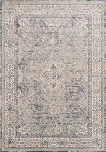 Loloi II Teagan Collection TEA-04 Sky / Natural 7'-11" x 10'-6", .25" Thick, Area Rug, Soft, Durable, Neutral, Woven, Low Pile, Non-Shedding, Easy Clean, Living Room Rug