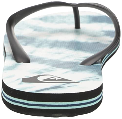 Quiksilver Men's Molokai Art Flip Flop Sandal, Grey 1, 8