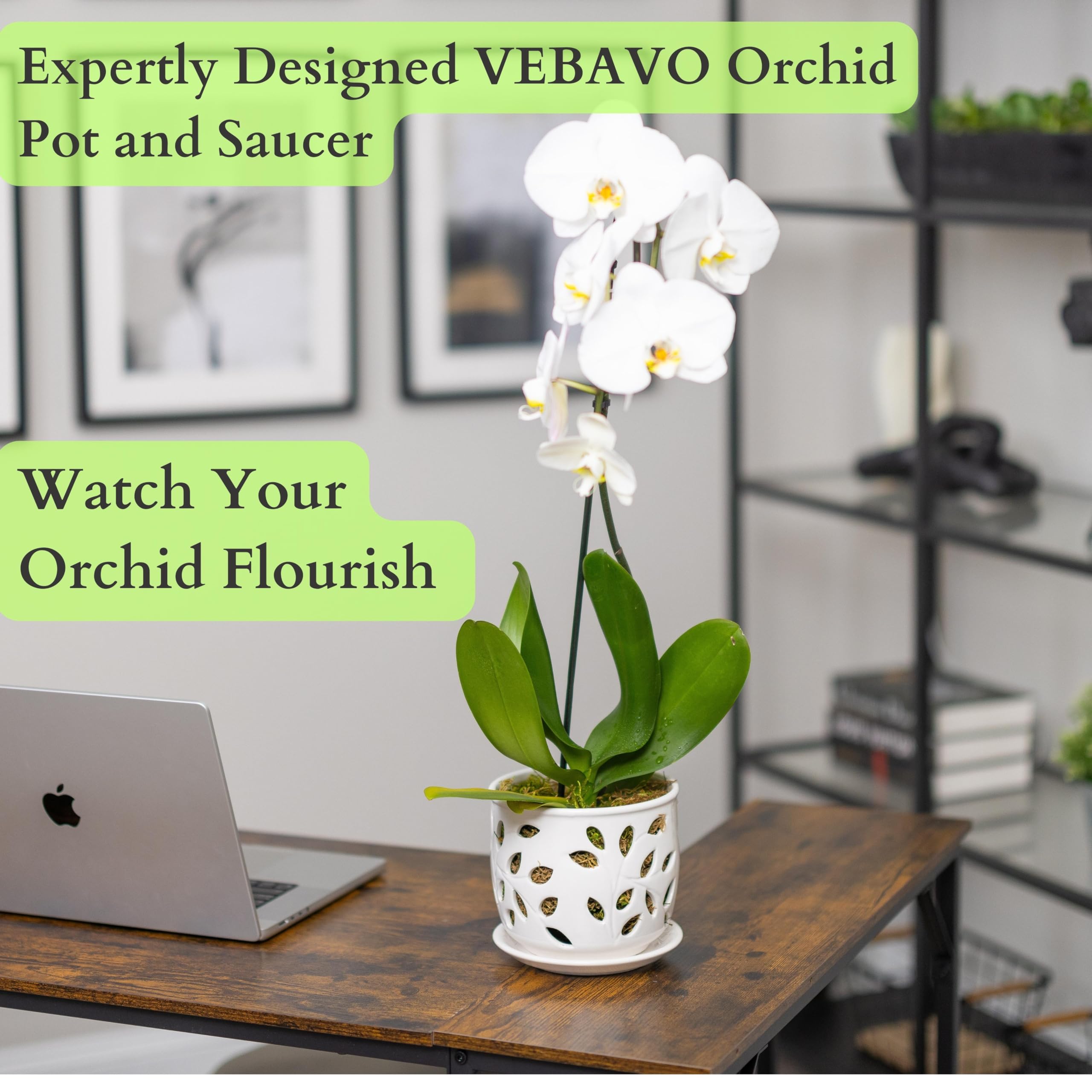 VEBAVO Large Ceramic Orchid Pot with Holes & Saucer 5.25 in. Indoor or Outdoor Pot for Orchid Care & Root Health with Precise Aeration & Drainage β Durable for Repotting or New Plants