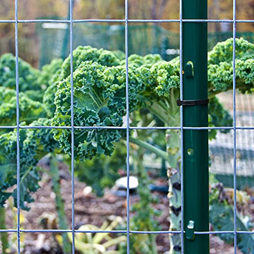 VASGOR 5 Feet Sturdy Duty Metal Fence Post – Garden U Post for Fencing - 10 Pack
