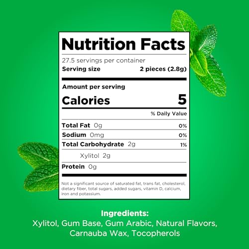 PUR Gum | Aspartame Free Chewing Gum | 100% Xylitol | Natural Spearmint Flavored Gum, 55 Pieces (Pack of 1)