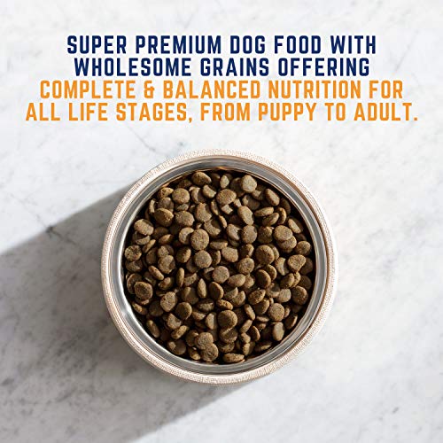 Natural Balance Original Ultra Large Breed Bites Formula Chicken & Barley Dry Dog Food 30-lb Bag