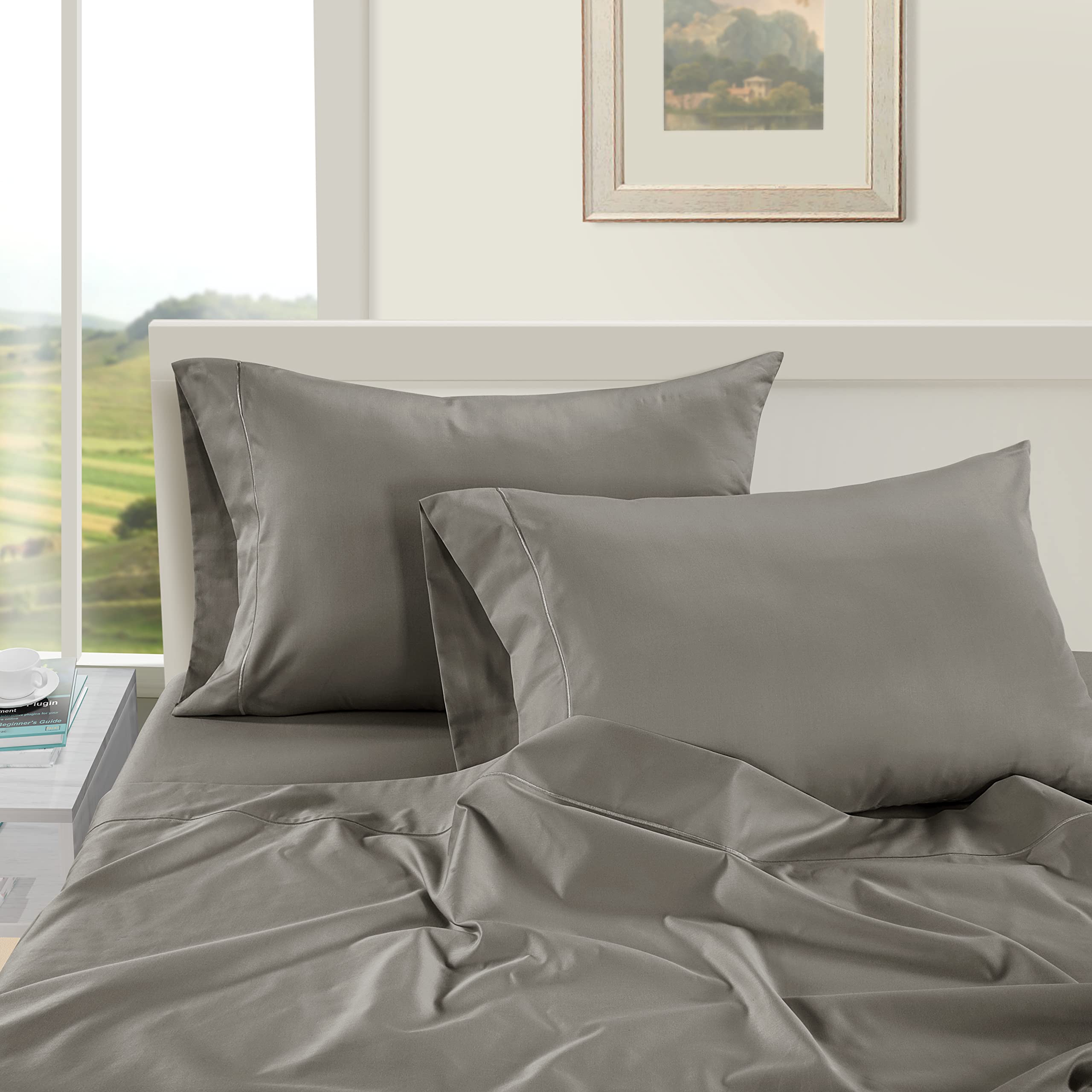 LANE LINEN 100% Egyptian Cotton Queen Sheet Set (4 Pc) - 1000 Thread Count - Sateen Weave – Luxury Hotel Bedding – Ultra Soft Queen Size Sheets Set – Bed Sheets with 16” Deep Pocket – Charcoal