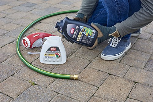 Ortho GroundClear Vegetation Killer Concentrate2, 32 OZ