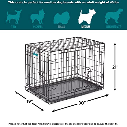 MidWest Homes for Pets Newly Enhanced Double Door iCrate Dog Crate, Includes Leak-Proof Pan, Floor Protecting Feet, Divider Panel & New Patented Features