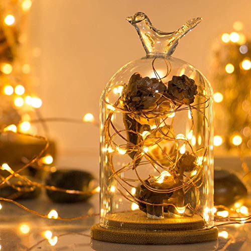 Moonflor LED Fairy String Lights 40Ft with 120 LEDs, Waterproof Dimmable Firefly Lights with Remote, Plug in Copper Wire Starry Lights for Christmas Bedroom Patio, Warm White