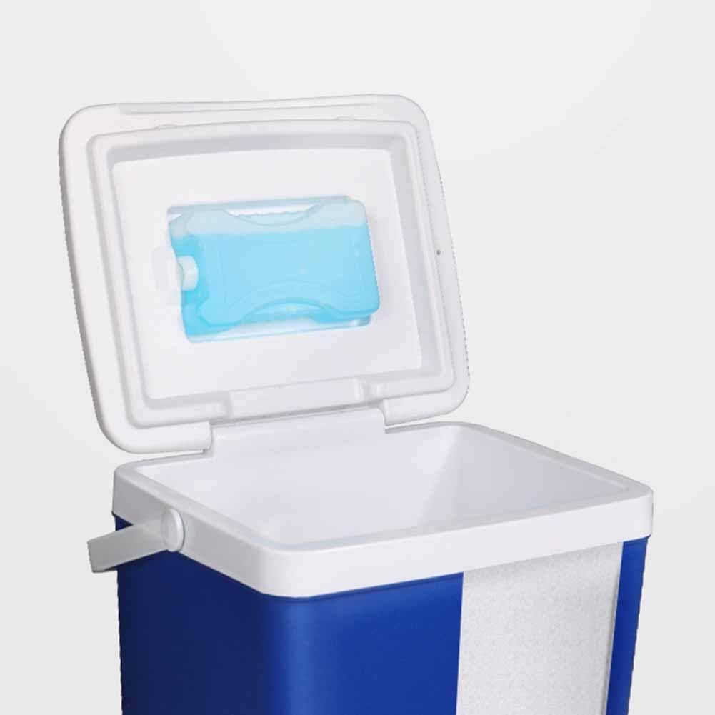 N/A 5L Car Portable Refrigerator Fridge Cooler& Warmer Icebox for Car Home Mini Refrigerator for Food Insulated with Handle