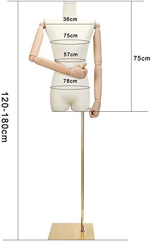 Mannequin Torso Mannequin Dress Form Torso Adjustable Female Tailors Dummy Mannequin Dressmakers Dummies Display Bust Detachable for Clothing Jewelry Display Stand (A)