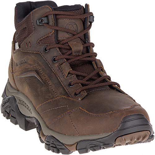 Merrell mens Moab Adventure Mid Wp Hiking Boot, Brown Dark Earth, 10.5 US
