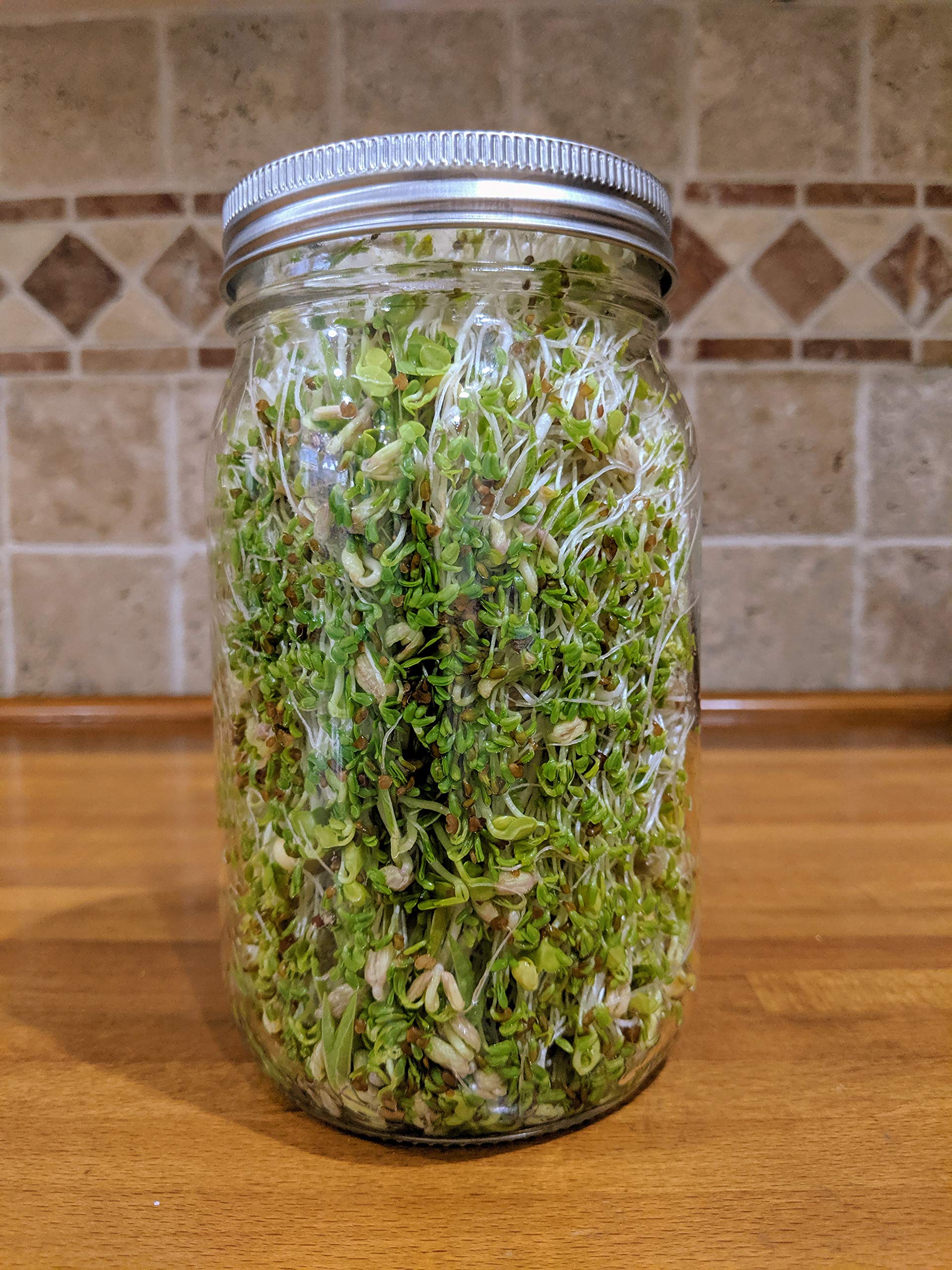 Sprouting Jar with Screen Lid-316 Stainless Steel 100% Rust Free, Wide Mouth Quart Mason Jar Kit Sprouter, Organic Healthy Fresh Broccoli, Alfalfa, Mung Bean Sprouts and more (Seeds not included)