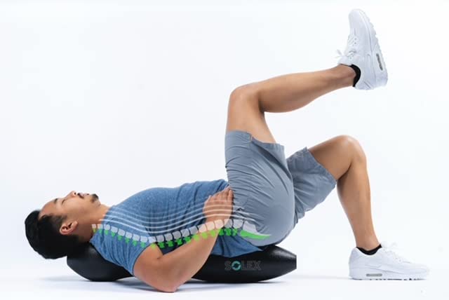 Solex Posture Corrector Foam Body Roller for Muscles Deep Tissue, Spine Alignment Back Roller Helps Increase Mobility, Improve Sleep, Digestion & More, Physical Therapy Foam Roller for Back Pain