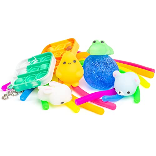 Sensory Builder: Fidget Toys Sensory Kit Bundle-from The Makers of Language Builder - Stress Relief Balls with Fidget Hand Toys for Anxiety Kids & Adults-Calming Toys for ADHD Autism Anxiety