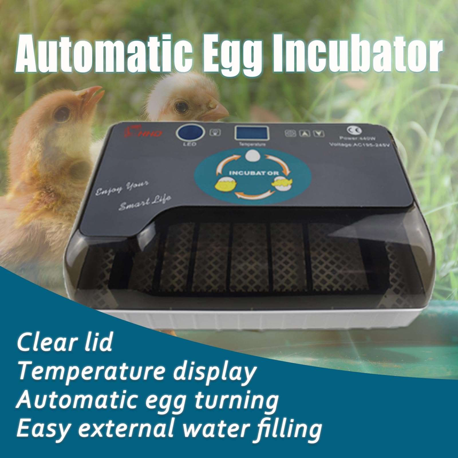 SSZYace 12-35 Egg Incubator, Incubators for Hatching Eggs with Automatic Turner, Egg Candler and Temperature Display, for Chicks, Quails, Ducks, Small Poultry