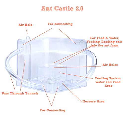 NAVADEAL Sand Ant Farm with Connecting Tubes, Habitat Educational & Learning Science Kit Toy for Kids & Adults - Allows Study of Ecosystem, Behavior of Ants, Explore The World at Home and School