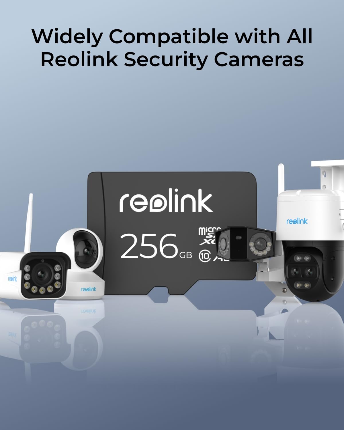 REOLINK 256GB microSDXC Memory Card, Up to 100MB/s, 4K UHD, U3, A2, V30, Class 10, Micro SD Card Fully Compatible with Reolink Security Camera