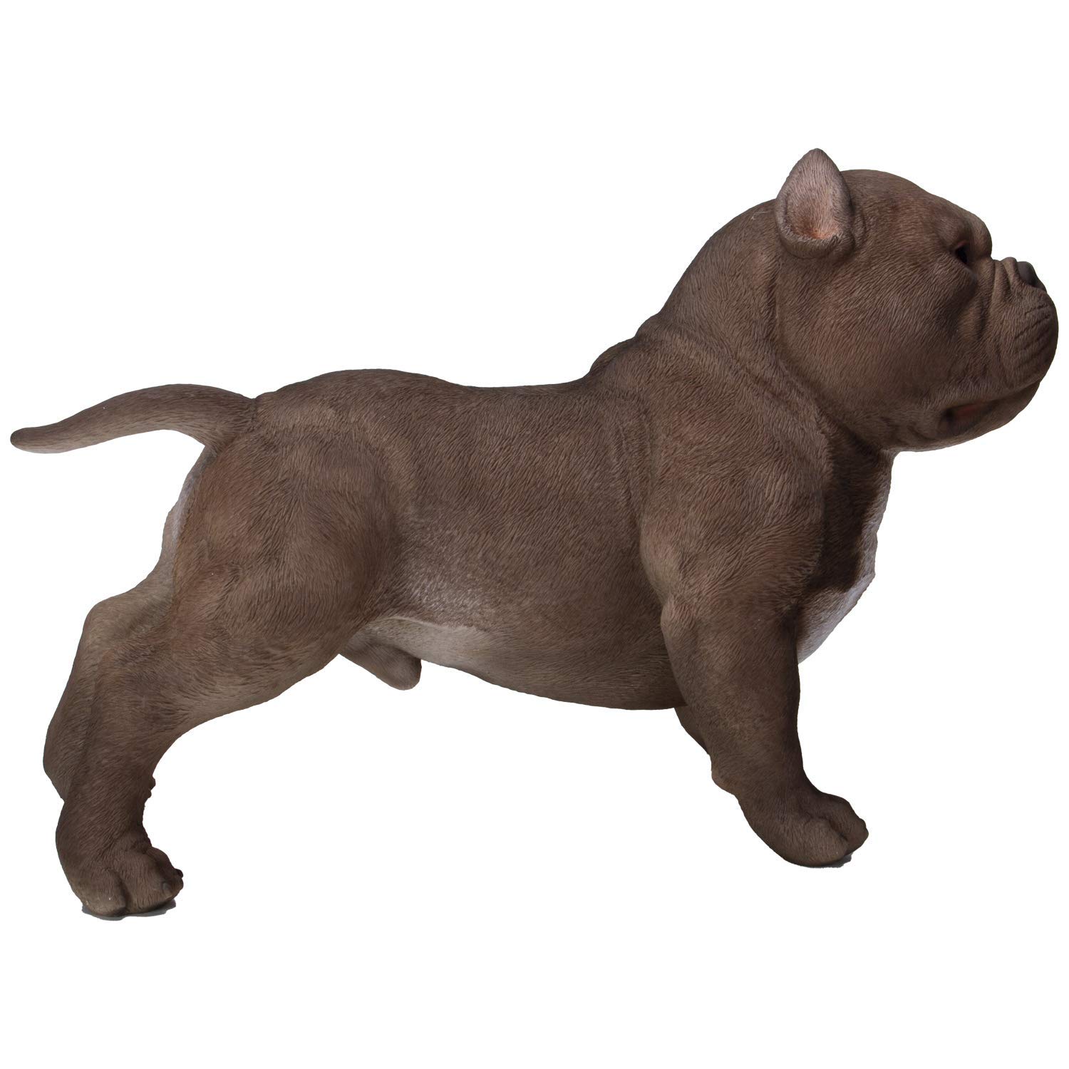 Pacific Giftware Animal World Realistic American Bully Dog Home Decor Resin Figurine