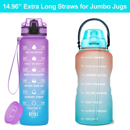 TeHappy Water Bottle Straw for Replacement, Reusable Straws for 64oz and 128oz Big Bottles Jugs, 4 Extra Long 14.9ββ Straw with 2 Cleaning Brushes Set of 6, Cut to Fit Any Bottle